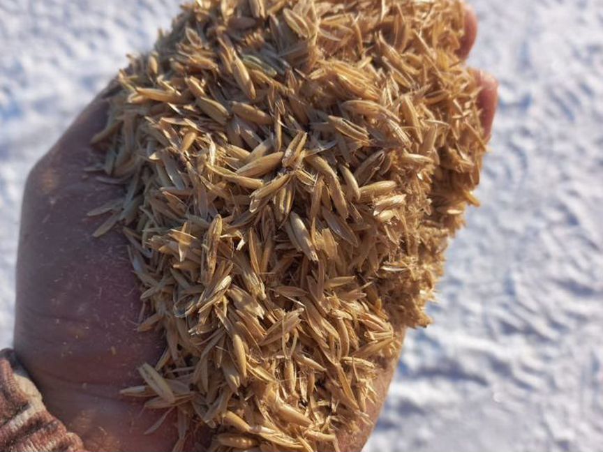 Продам Шелуху, лузгу