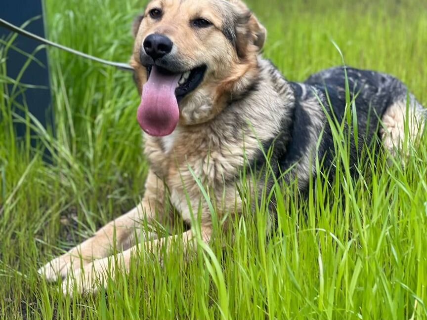 Маша в приюте Малинки