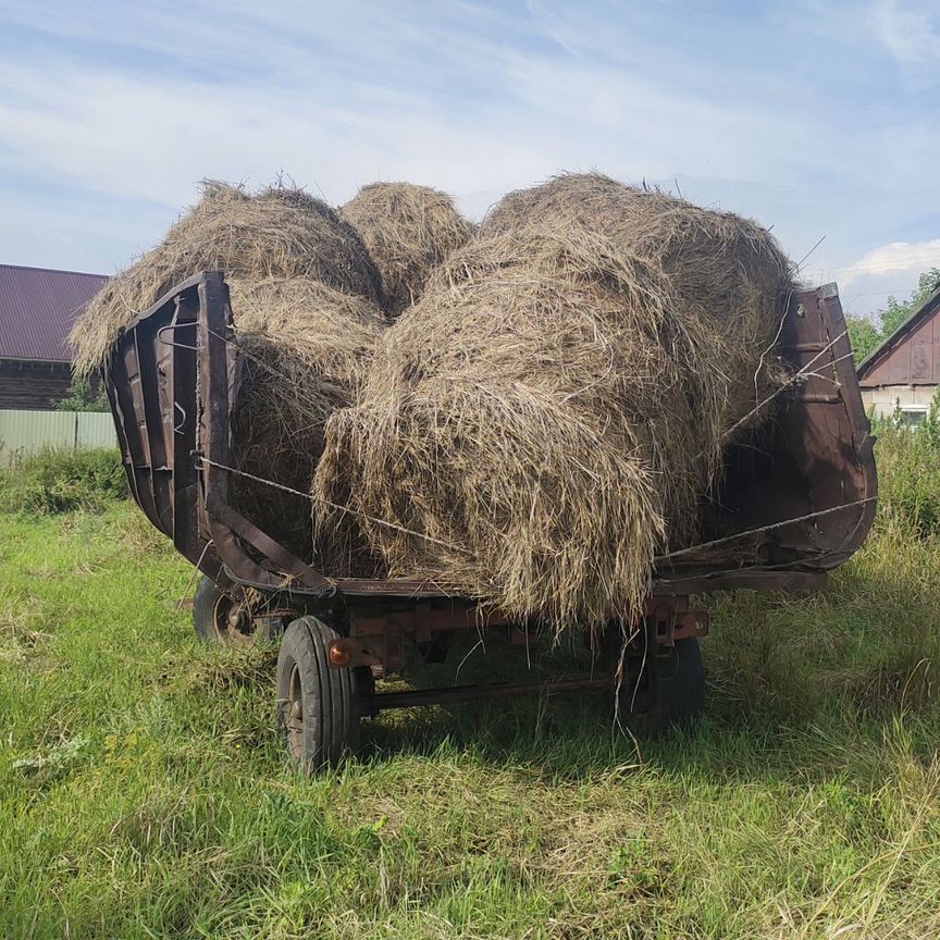 Продам сено в рулонах
