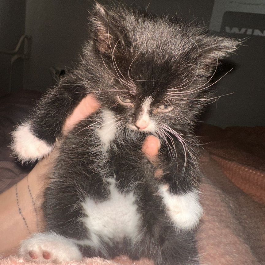 Крошечный комочек счастья