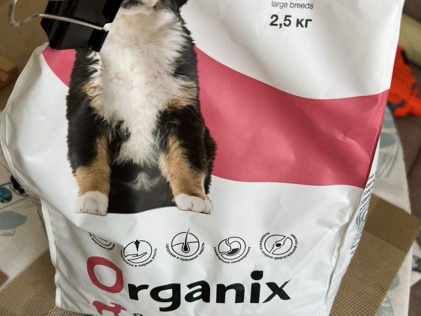 Корм для щенков organix