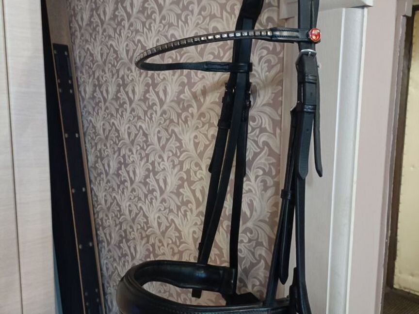 Оголовье для лошади