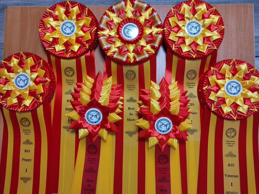 Наградные розетки для выставок