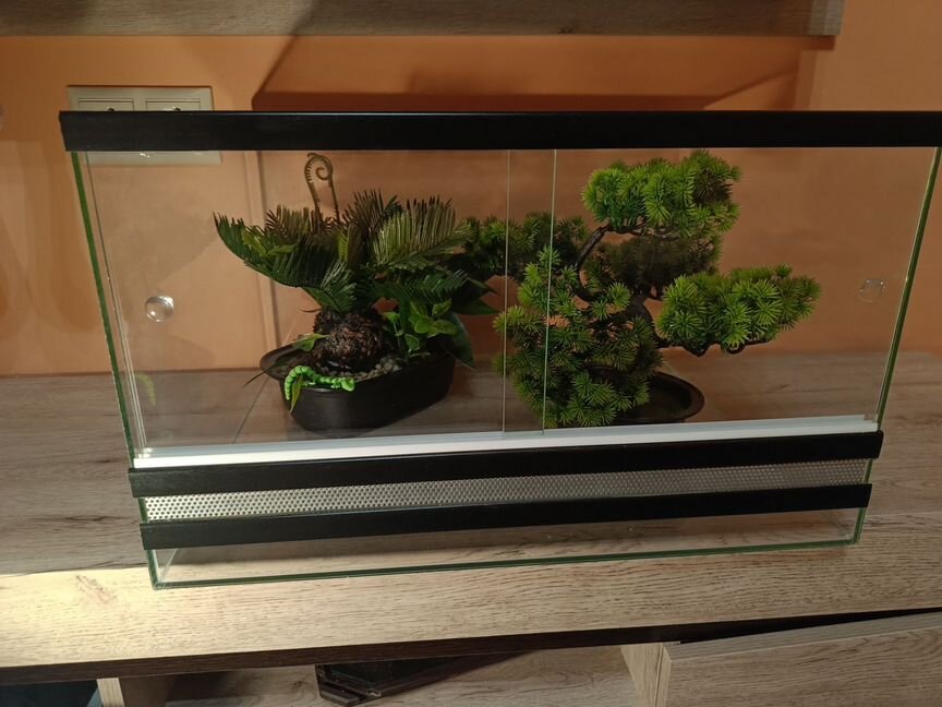 Террариум для эублефара