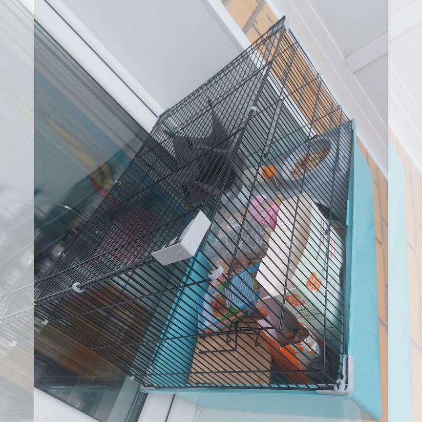 Клетка для грызунов