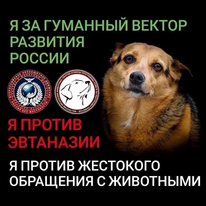 Мы хотим жить помоги нам