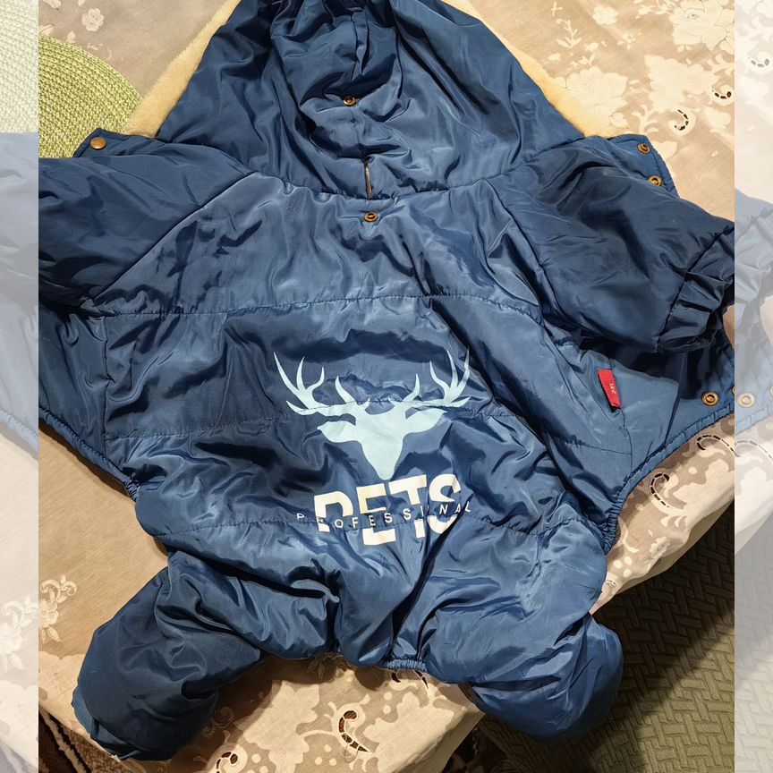 Одежда для собак