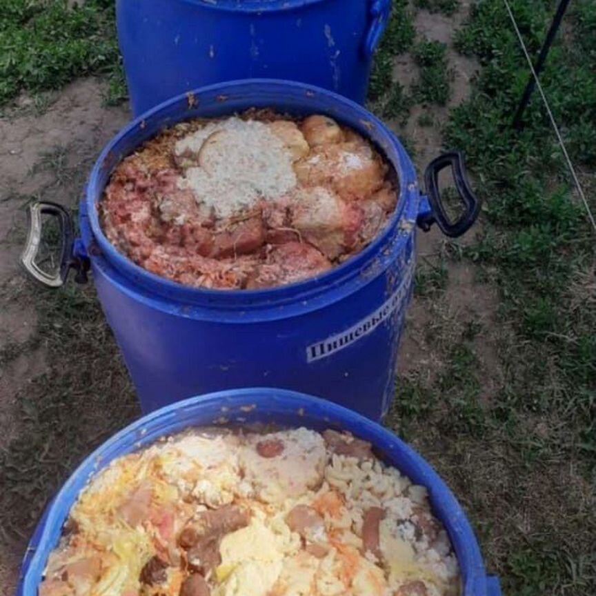 Отходы из садика