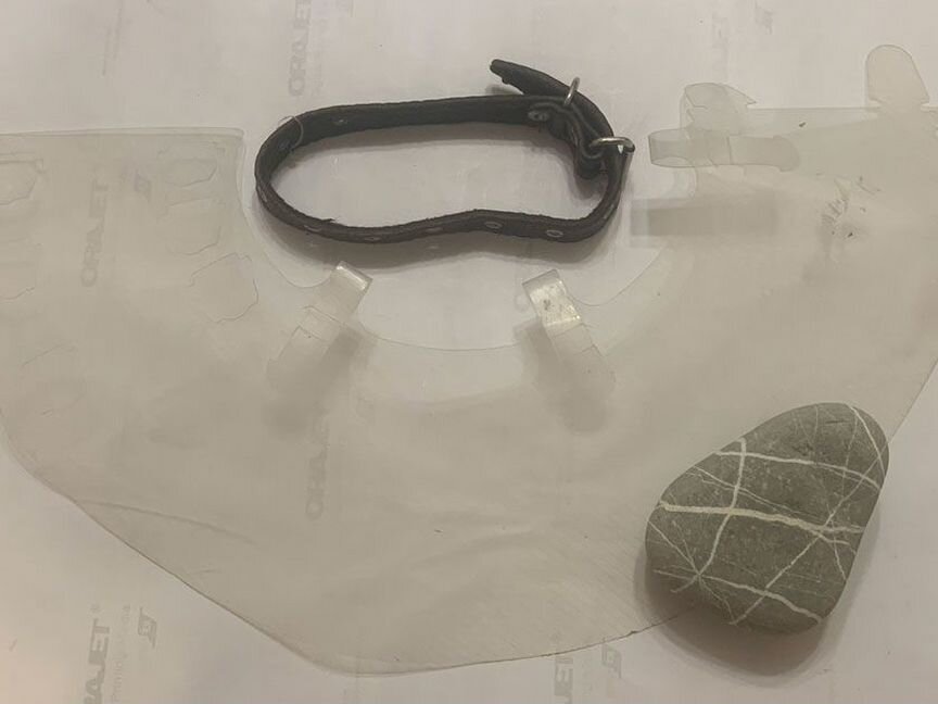 Ошейник и ворот послеоперационный