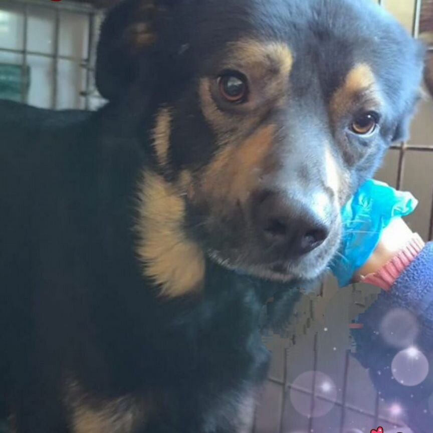 Симпатичный мальчик ищет свой дом