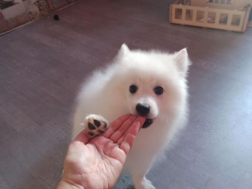 Снеговичок