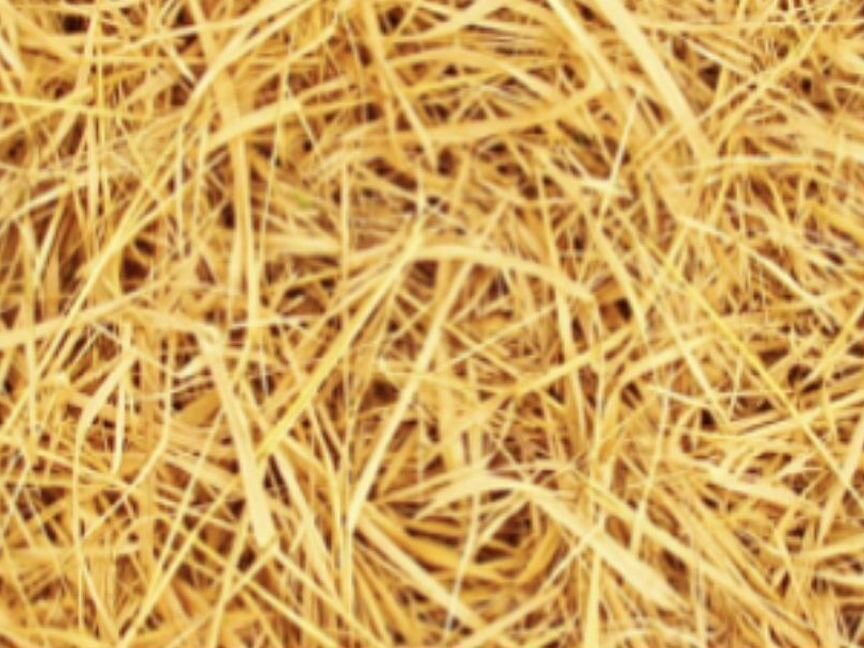 Солома, сено