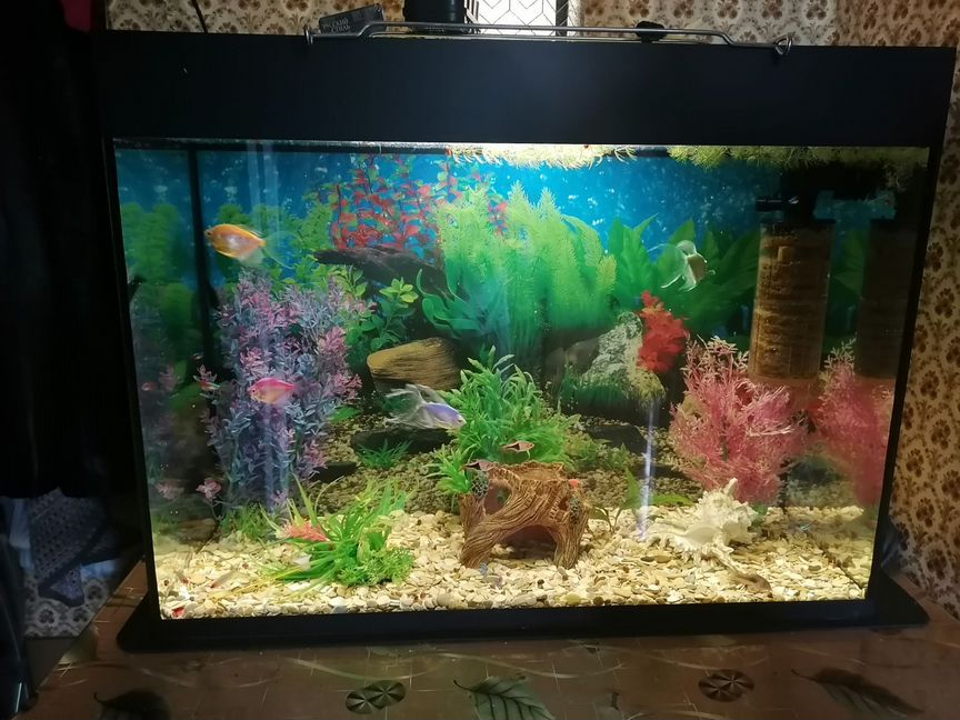 Аквариум