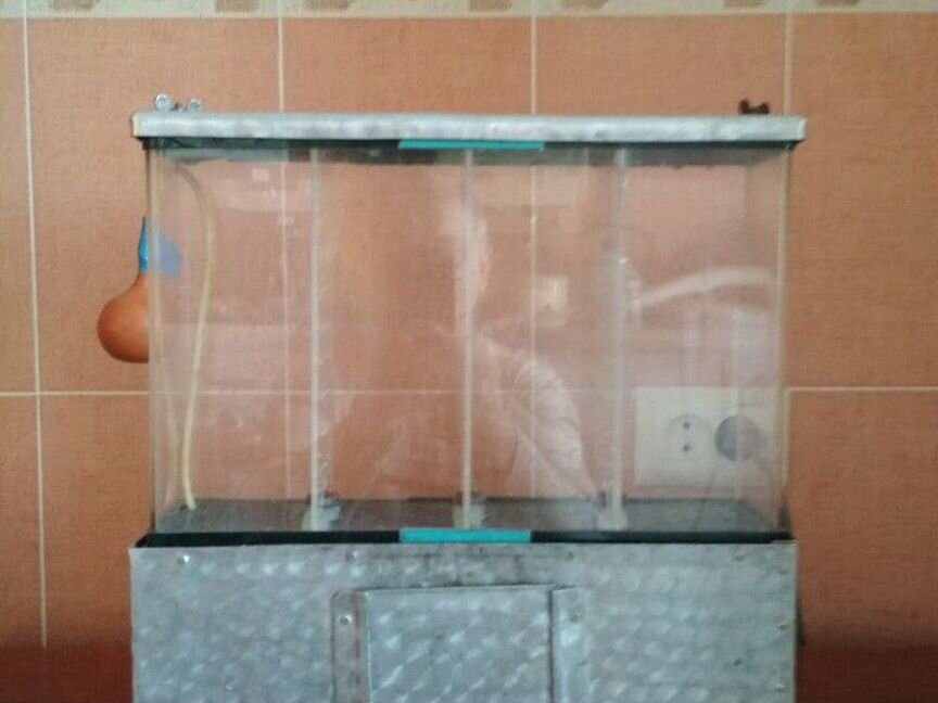 Аквариум с подогревом (переноска)