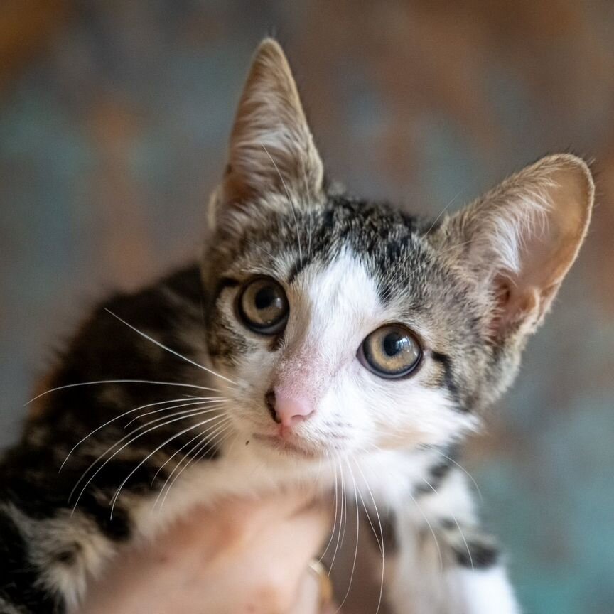 Все говорят, что я некрасивая