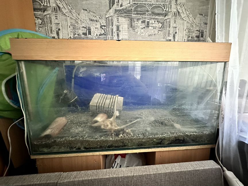 Аквариум с тумбой