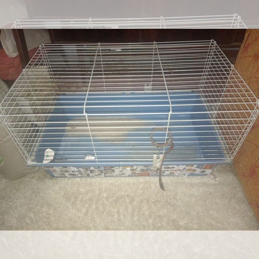 Клетка для кролика (бу)   корм, сено, наполнитель