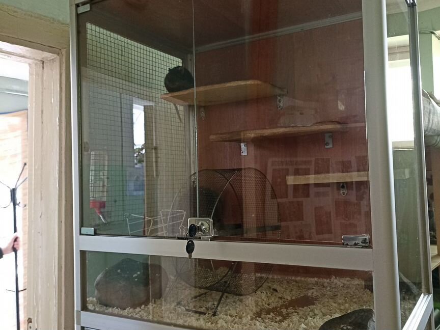 Стеклянный шкаф витрина для животных