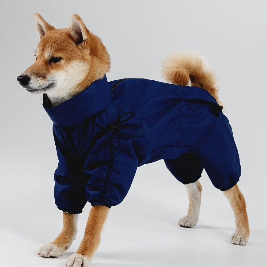 Дождевик LunaLuma (кобель / спина 35 см)