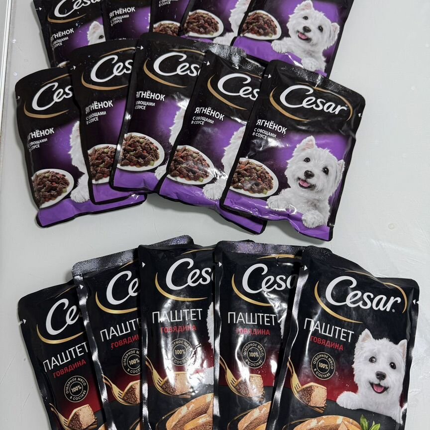 Паштет собачий корм cesar