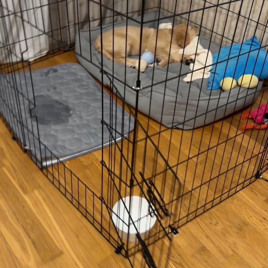 Вольер для собак