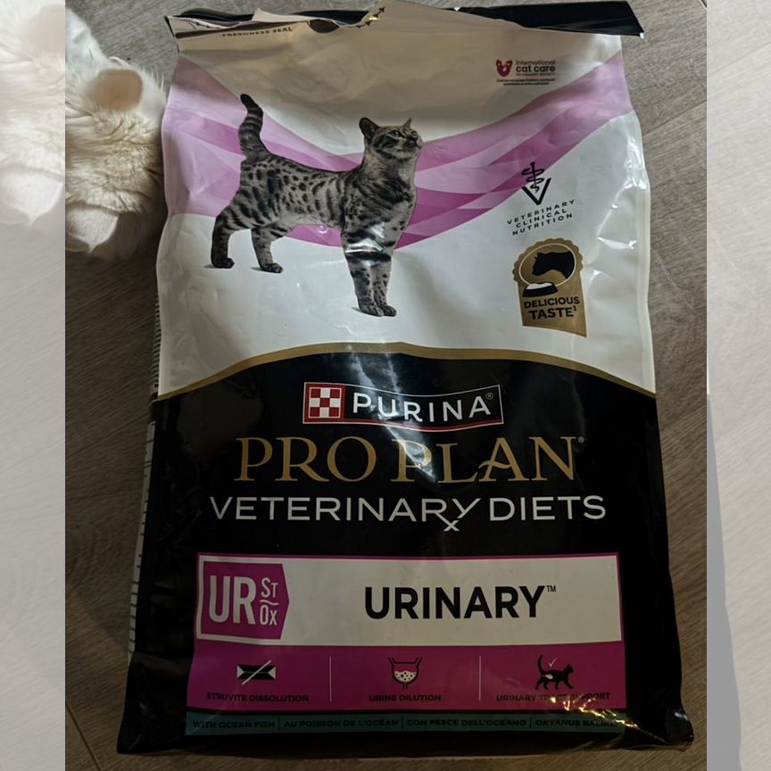 Корм для кошек