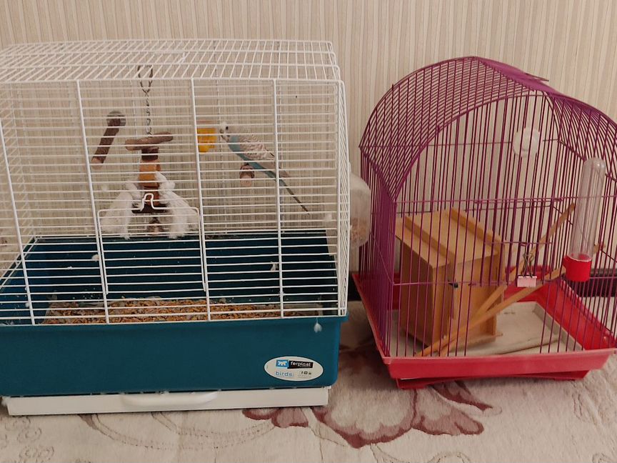 Клетка для попугая