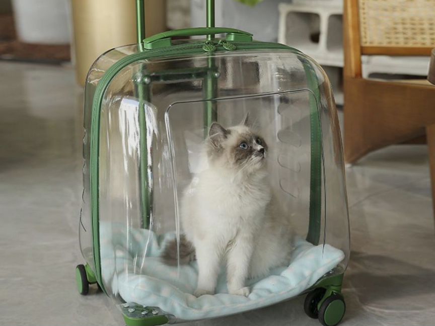 Переноска для кошек и собак, чемодан для животных