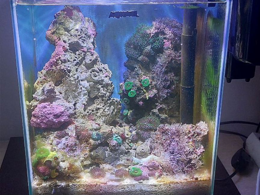 Морской аквариум