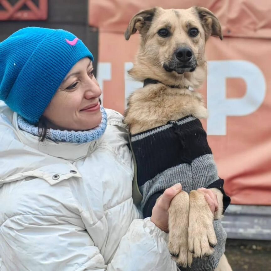 Коля, щенок из приюта в добрые руки