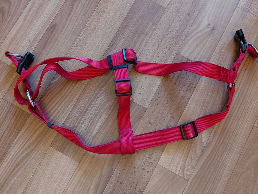Шлейка для собаки