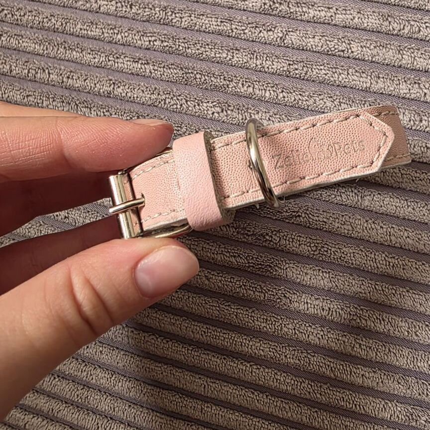 Амуниция для собак