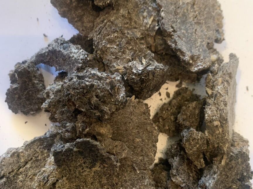 Жмых подсолнечный