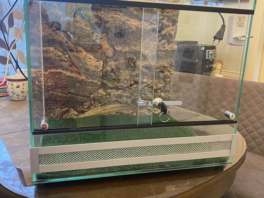 Террариум для рептилий (эублефара)