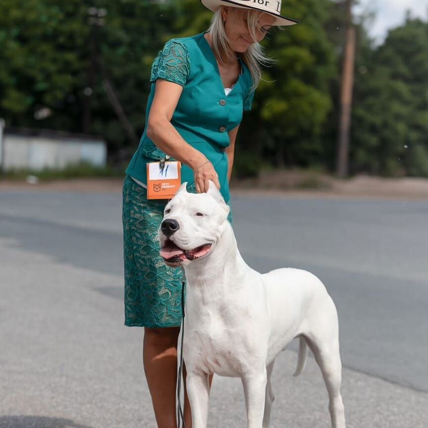 Принимаю красивых невест для моего кабеля