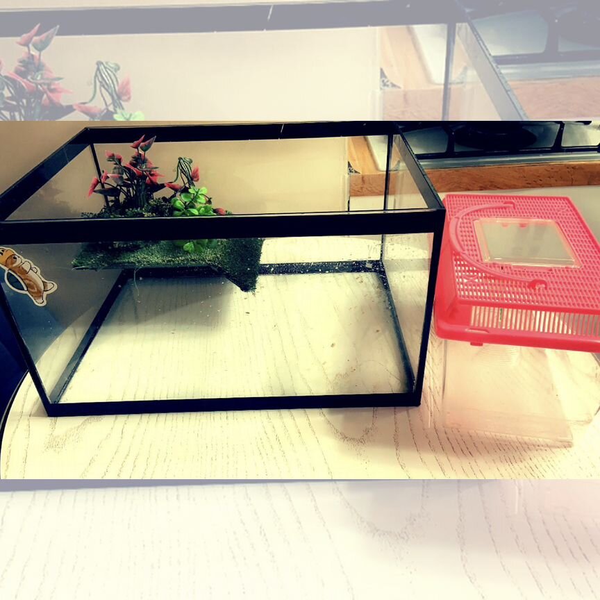 Террариум для черепахи
