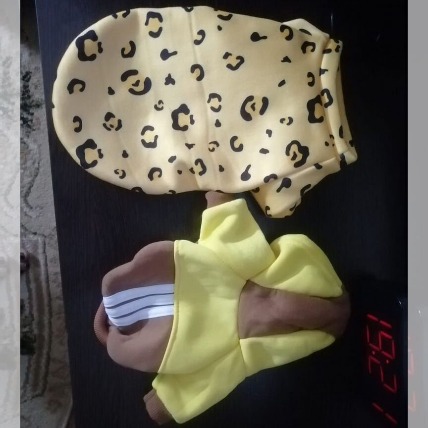 Кофта для кошки