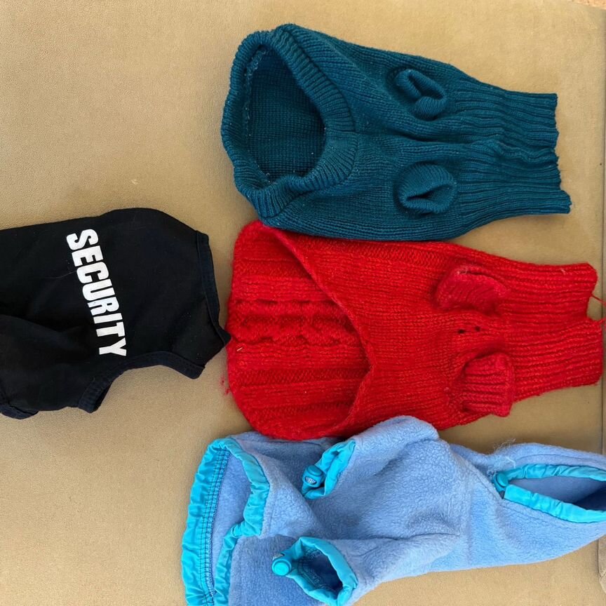 Одежда для собак мелких пород xs