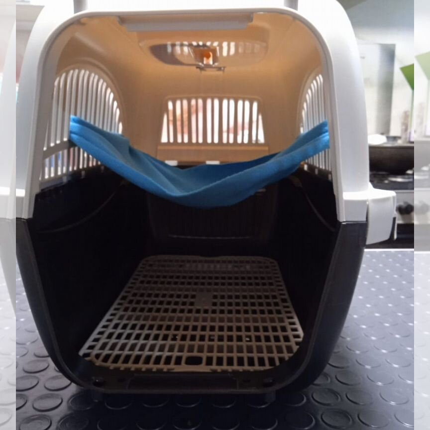 Переноска для кошек