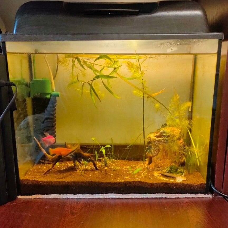 Аквариум 35 литров