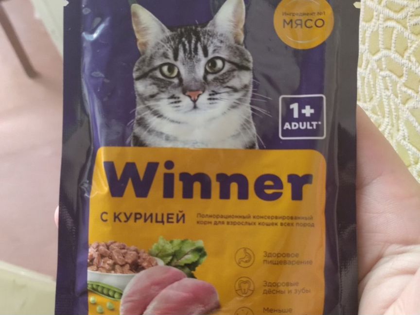 Влажный корм для кошек