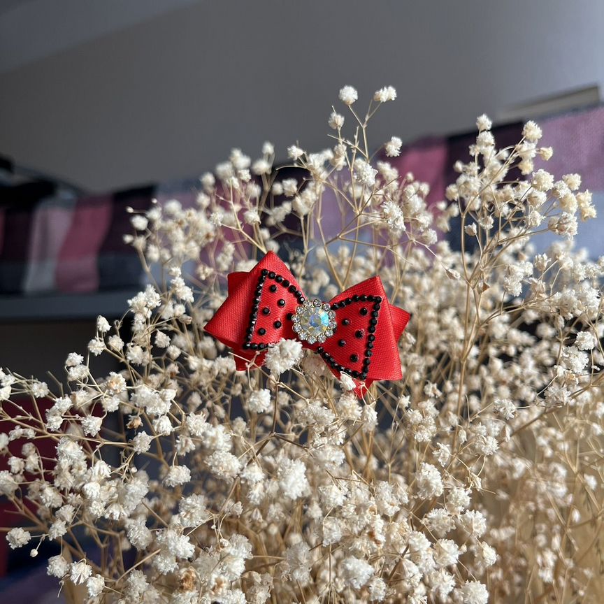 Бантики для собак (йорков, биверов, ши-тцу и тд)