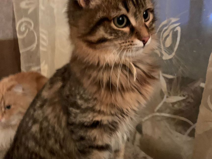 Мальчик зайчик ) 3 мес