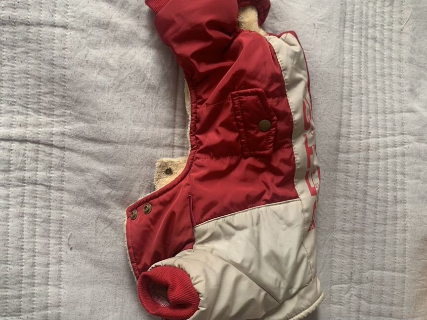 Осенний/весенний костюм для собак мелких пород