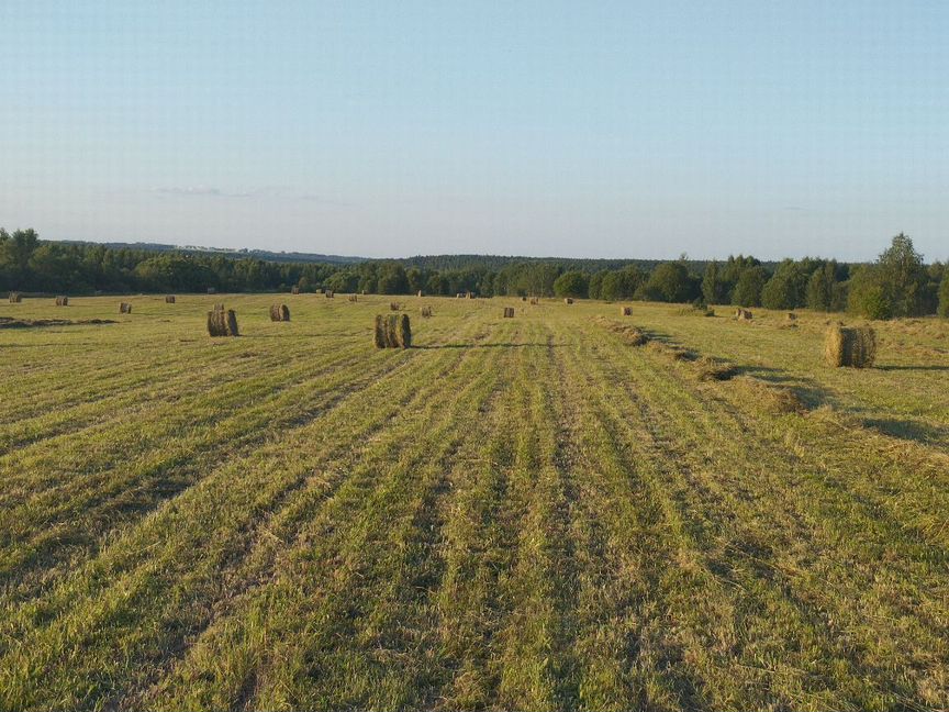 Сено в рулонах