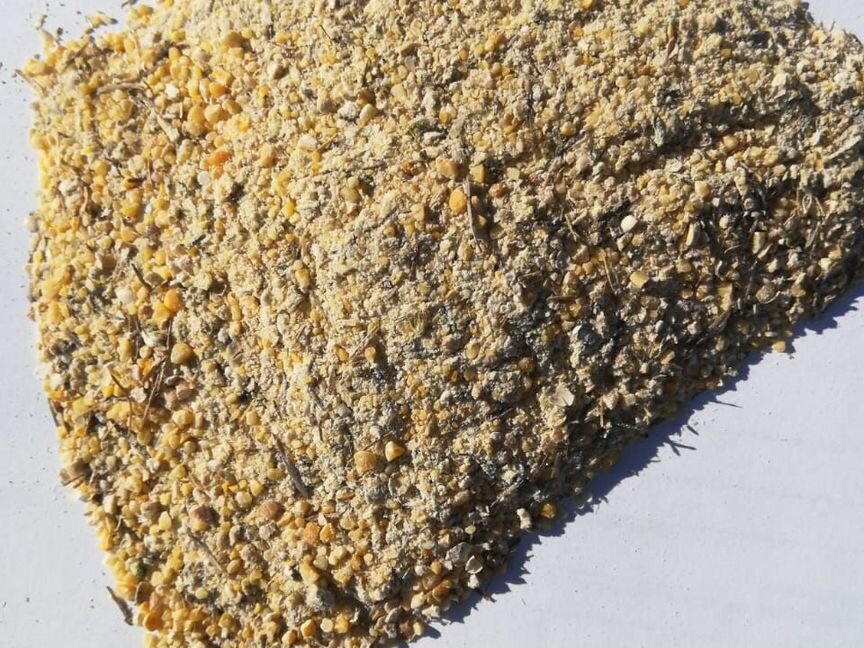 Горох кормовой