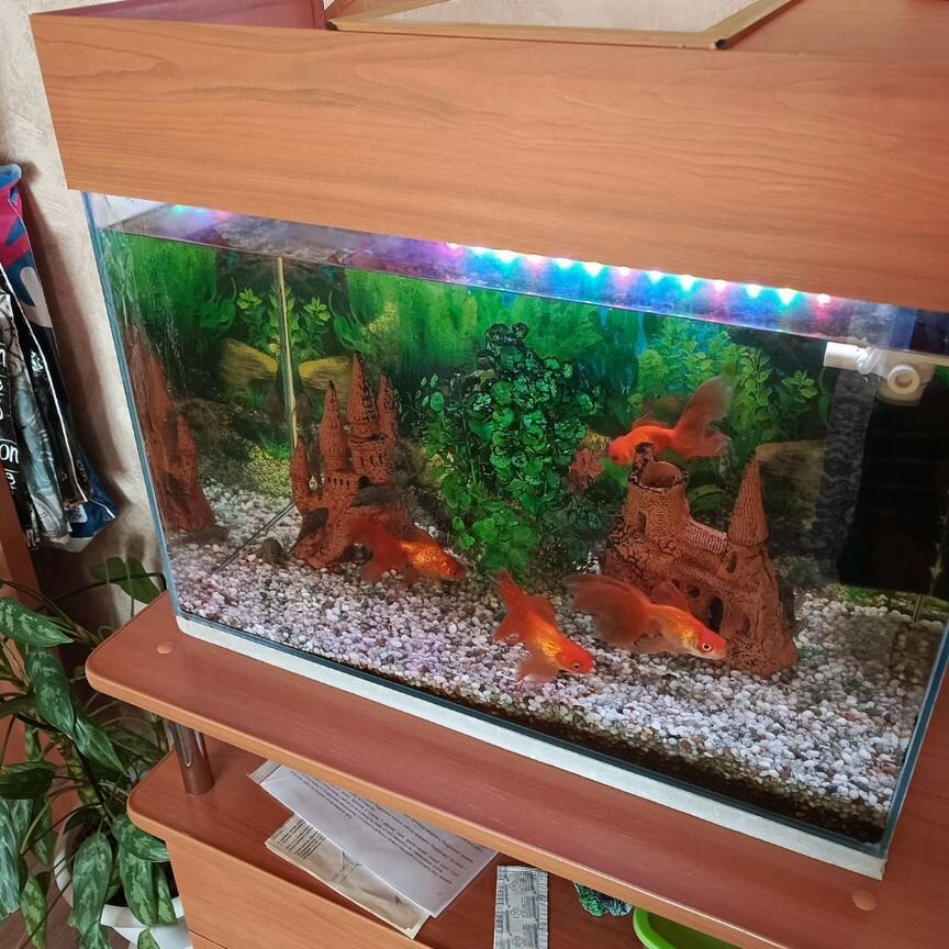 Аквариум