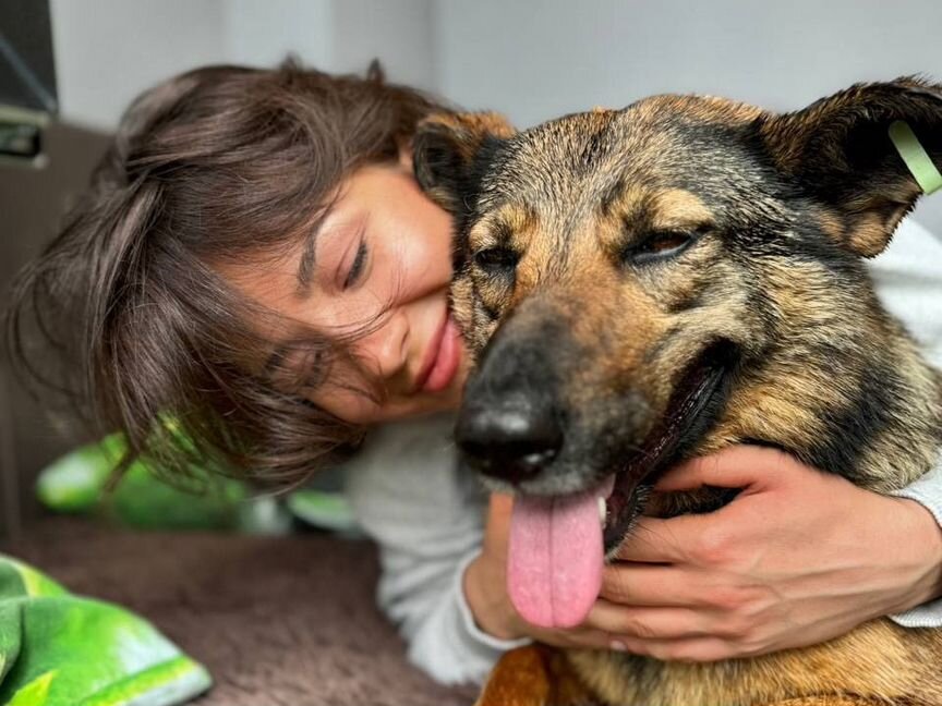 Джемма, собачка мамочка