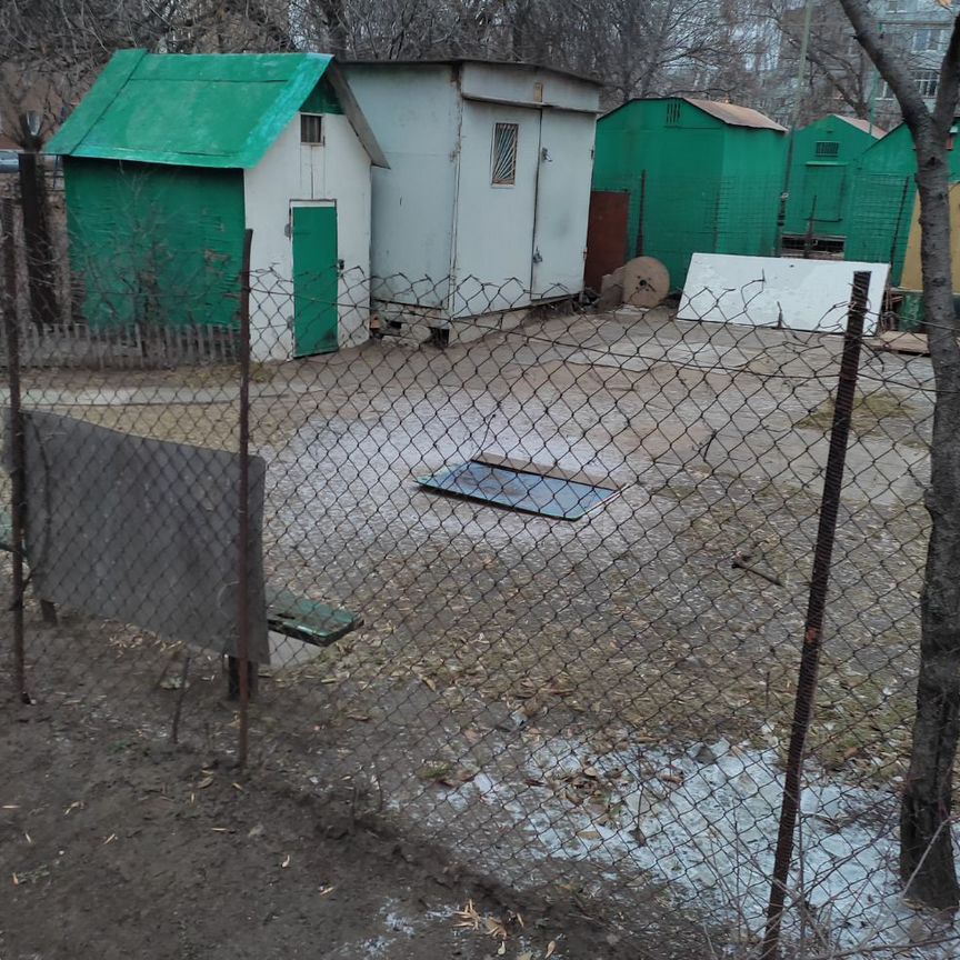 Продам голубятню с голубыми