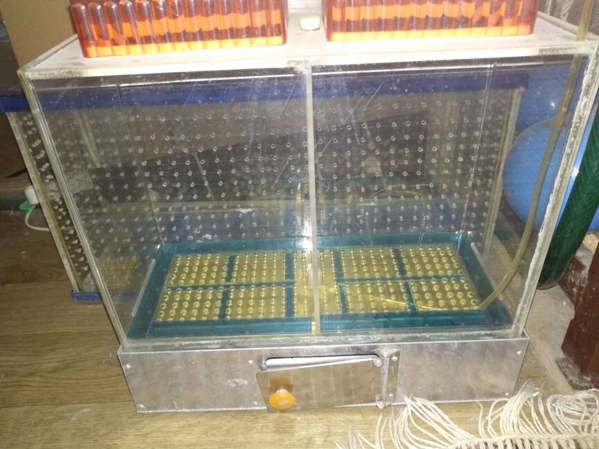 Шима для продажи и переноски рыб кана